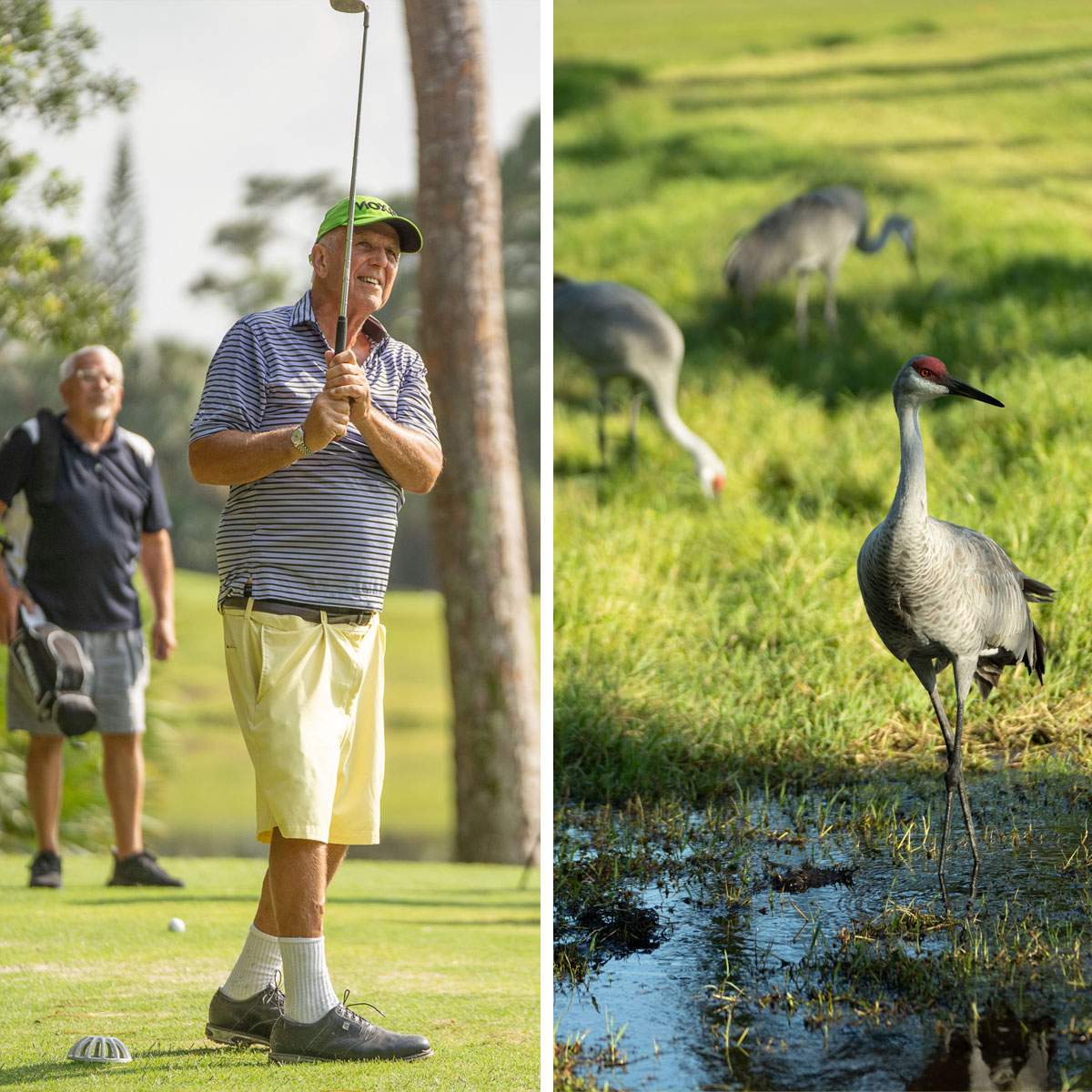 55+ Communities in Port St. Lucie and Fort Pierce, Florida
